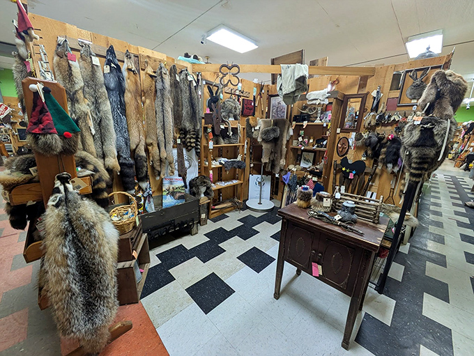 The fur section isn't for everyone, but it tells the story of Wisconsin's hunting traditions. Tactile history in its most primal form.