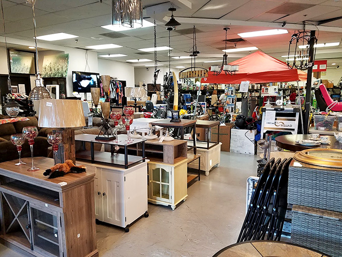 Home d&eacute;cor and furniture creating a showroom vibe that says "take me home" louder than any puppy ever could.