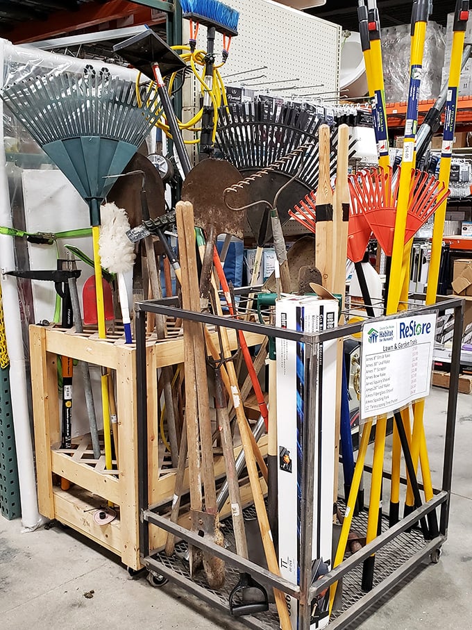 Garden tool jungle where rakes and shovels stand at attention. Your yard work arsenal awaits, previously loved but ready for action.