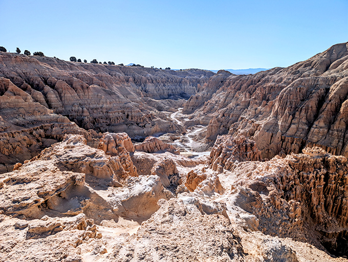 The gorge unfolds like a labyrinth carved by patient waters over millennia. Each turn reveals another chapter in Nevada's geological story.