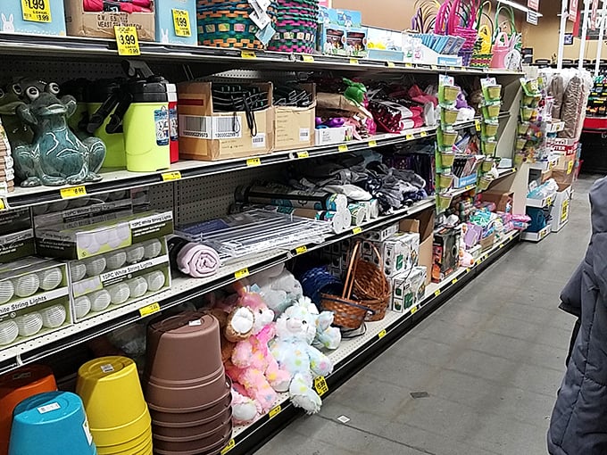Home goods galore that transform "I need that" into "I can actually afford that." Seasonal treasures and everyday essentials coexist in budget harmony.