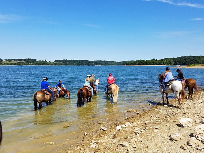 Horses wading into Lake Marburg create the kind of "I can't believe this is just an hour from home" moment worth framing.