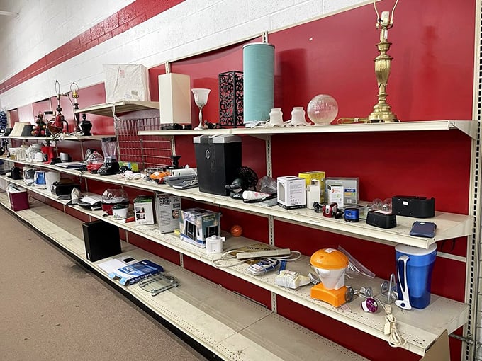 Household items lined up like contestants on a game show, each hoping to be chosen for a new home.