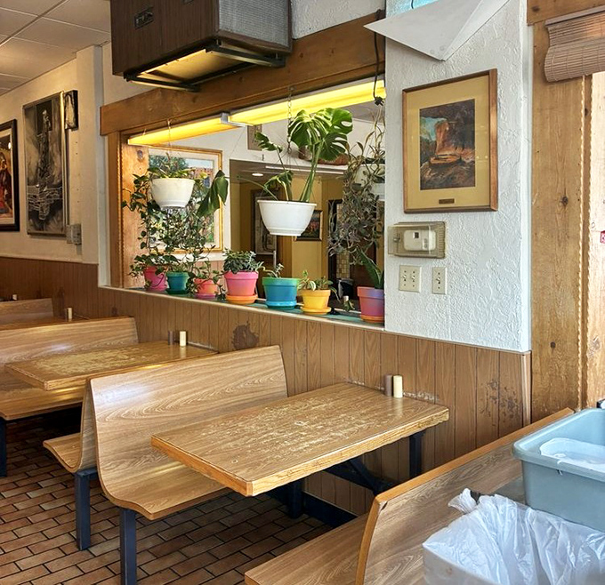 Booth seating with a side of greenery. Those colorful planters aren't just decoration&mdash;they're silent witnesses to decades of first dates, study sessions, and family gatherings.