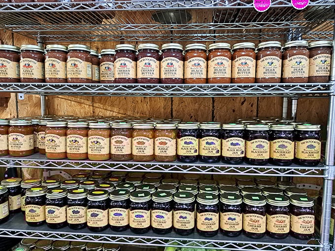 Preserved perfection in glass! These jars of homemade jams and preserves capture summer's sweetness, ready to brighten winter morning toast.
