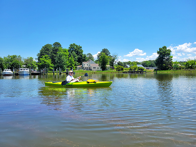 Kayaking the calm waters around Saint Michaels—where you're equally likely to spot great blue herons or locals waving from million-dollar waterfront porches.