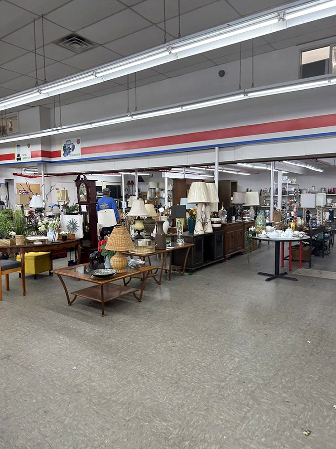 The lamp section glows with possibilities, from vintage to modern, each one ready to brighten your home for pocket change.