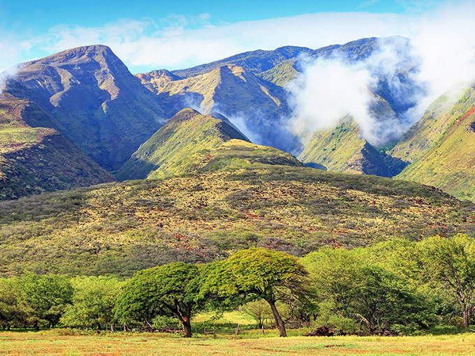 Morning mist plays hide-and-seek with Molokaʻi's mountains, creating a landscape that would make even Bob Ross reach for extra happy clouds.