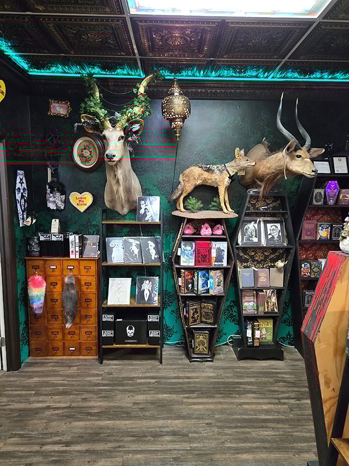 Taxidermy meets fantasy in this green-walled nook where antlered creatures and vintage filing cabinets create a natural history dreamscape.