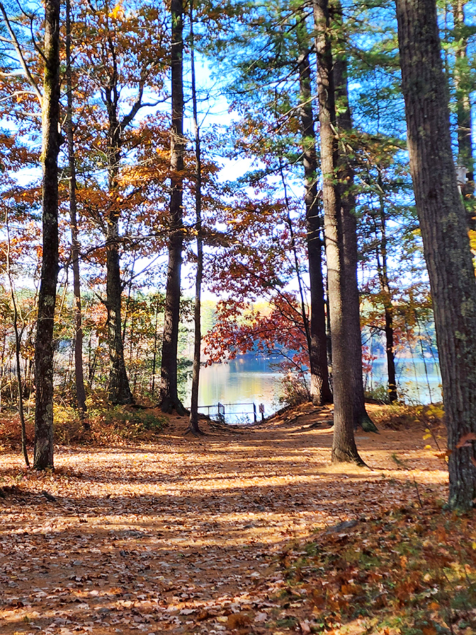 Autumn's golden pathway to the lake&mdash;where fallen leaves create nature's red carpet and every step sounds like applause.
