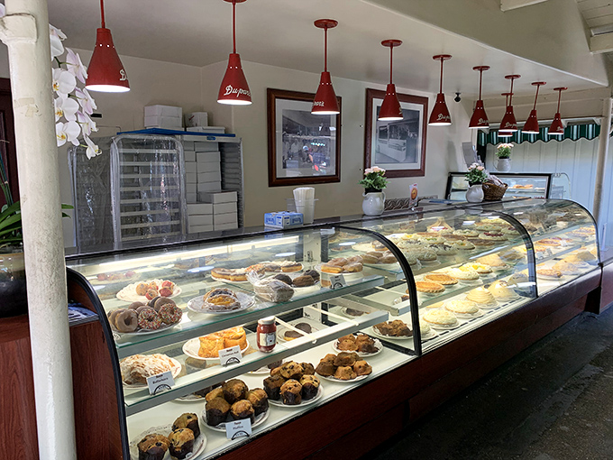 The pastry case of temptation &ndash; where willpower goes to surrender and sweet tooths find their bliss.