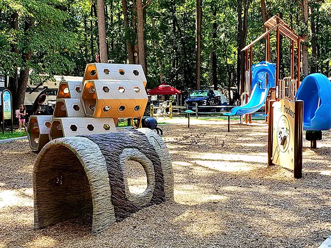 Kids' paradise found: where playground adventures happen against a backdrop of towering pines instead of tablet screens.
