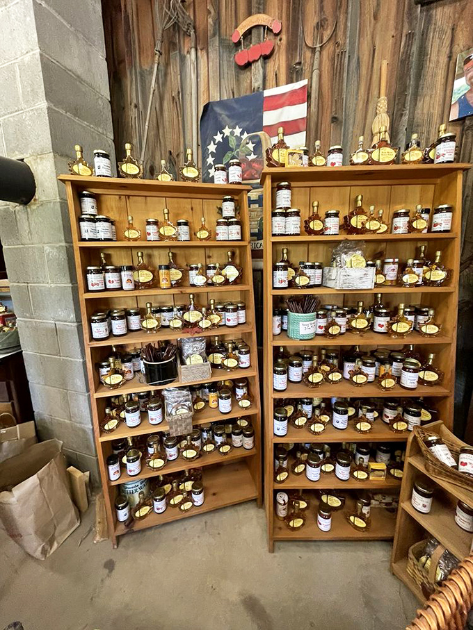 A wall of preserves that captures summer in glass jars. Each bottle promises to brighten winter meals with memories of warmer days.