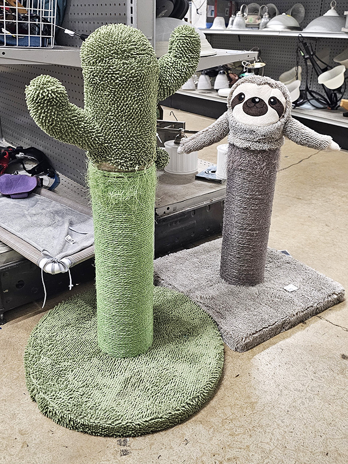 Cactus meets sloth in this scratching post showdown. Cat furniture that's both functional and conversation-starting&mdash;the holy grail of pet accessories.