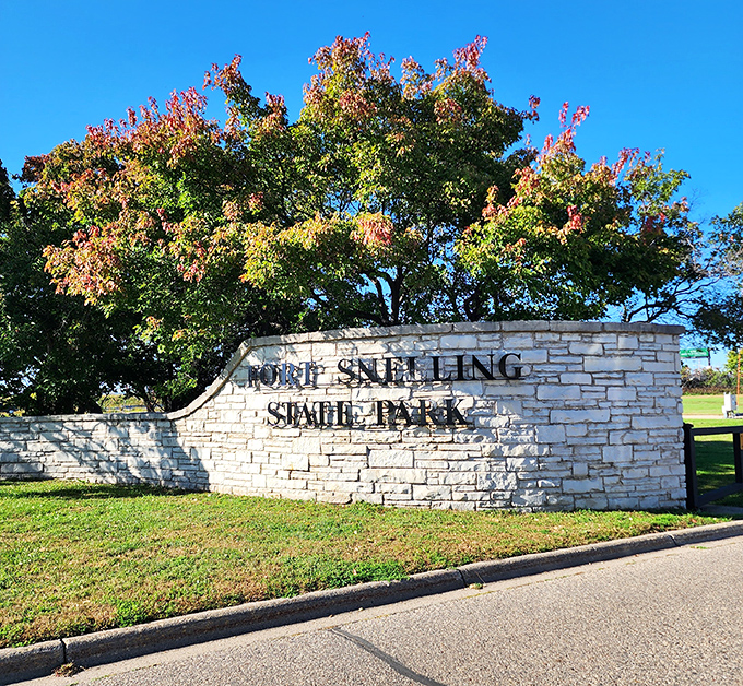 A tree bursting with fall color stands sentinel over the park's limestone sign, welcoming visitors with Minnesota's signature blend of natural beauty and subtle charm.