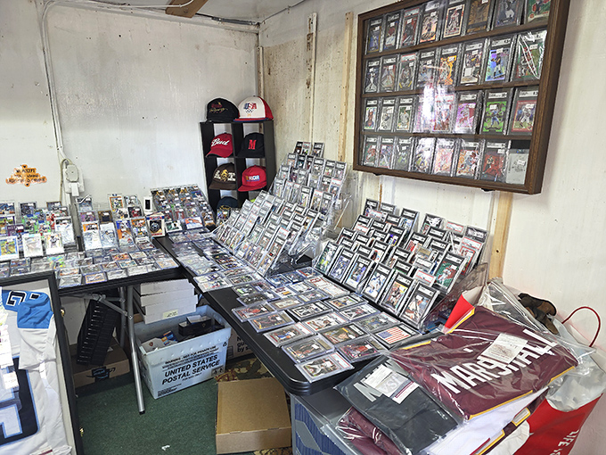 Sports card heaven awaits collectors in this corner shrine to athletic glory, where childhood heroes are preserved in protective plastic.