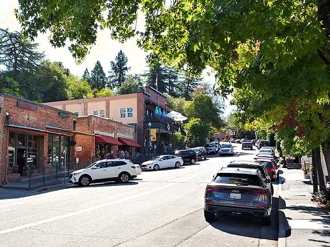 Tree-lined streets and historic buildings create Auburn's distinctive character &ndash; like Main Street USA without the admission fee or costumed characters.