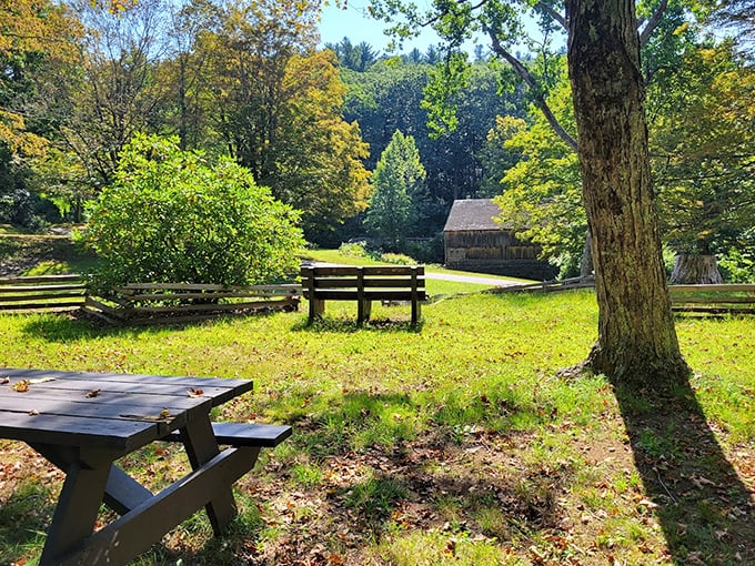 Picnic tables that have hosted more meaningful conversations than any Zoom meeting ever could. Technology comes and goes, but lunch outdoors is eternal.