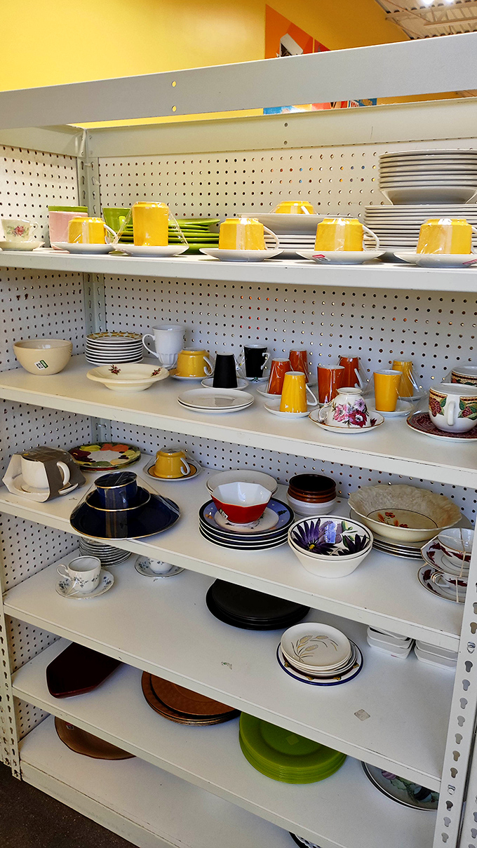 Dish paradise for the eclectic entertainer. Mix-and-match place settings that make dinner parties more interesting than matching sets ever could.