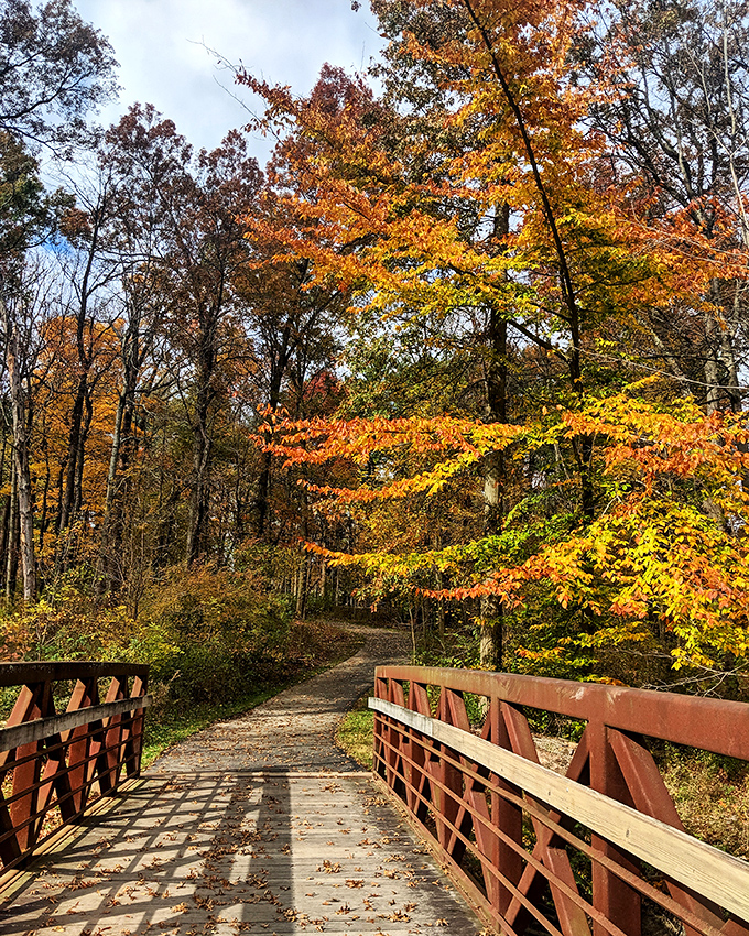Fall foliage on park trails delivers million-dollar views on a Social Security budget, nature's best bargain.