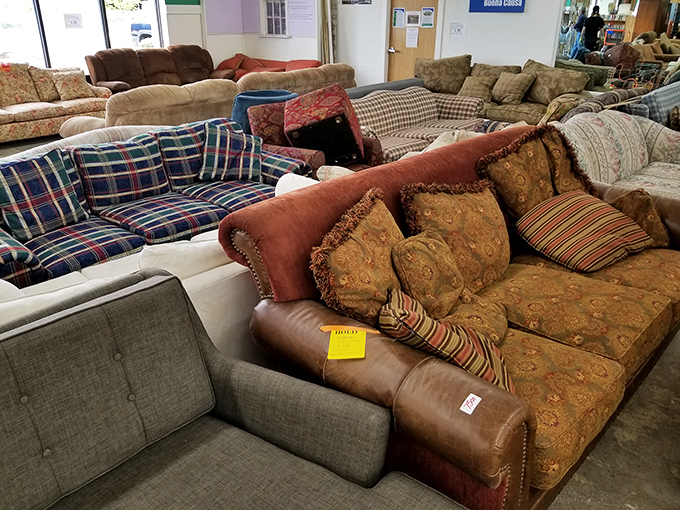 Sofa heaven – where pattern-mixing isn't a design flaw but a delightful choose-your-own-comfort adventure.