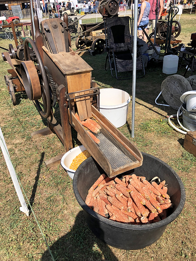 Farm-to-table had a different meaning when this corn sheller was new. Ingenious engineering that's still fascinating to watch in action today.