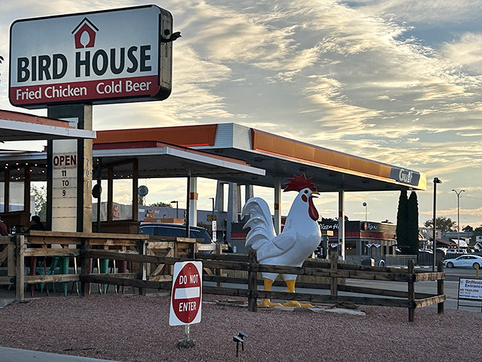 BirdHouse's roadside charm captures that classic American diner spirit where great chicken stories begin.