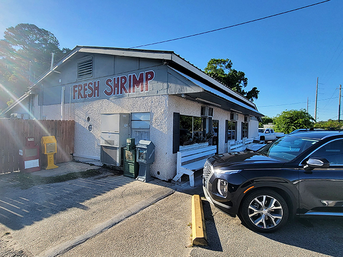 Simple white benches outside, extraordinary seafood treasures inside &ndash; the best surprises come in plain packages.