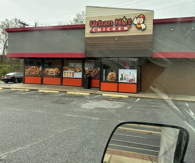 Contemporary design meets timeless comfort food in this sleek spot that's redefining neighborhood dining.