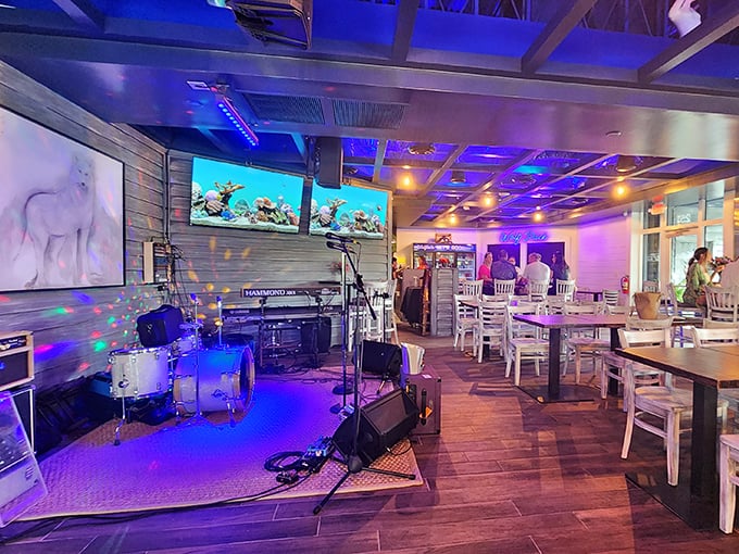 Live music space where seafood and sound waves create the perfect evening harmony. Blues lighting sets a mood that says "stay awhile."