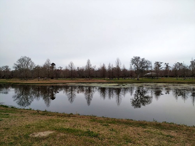 Autumn reveals the park's skeletal beauty, with bare trees reflected in still waters. Nature's version of a black and white photograph.