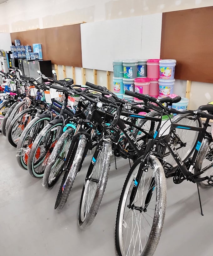 Pedal-powered possibilities line up in perfect formation, from beach cruisers to trail tamers, all waiting for their next adventure.