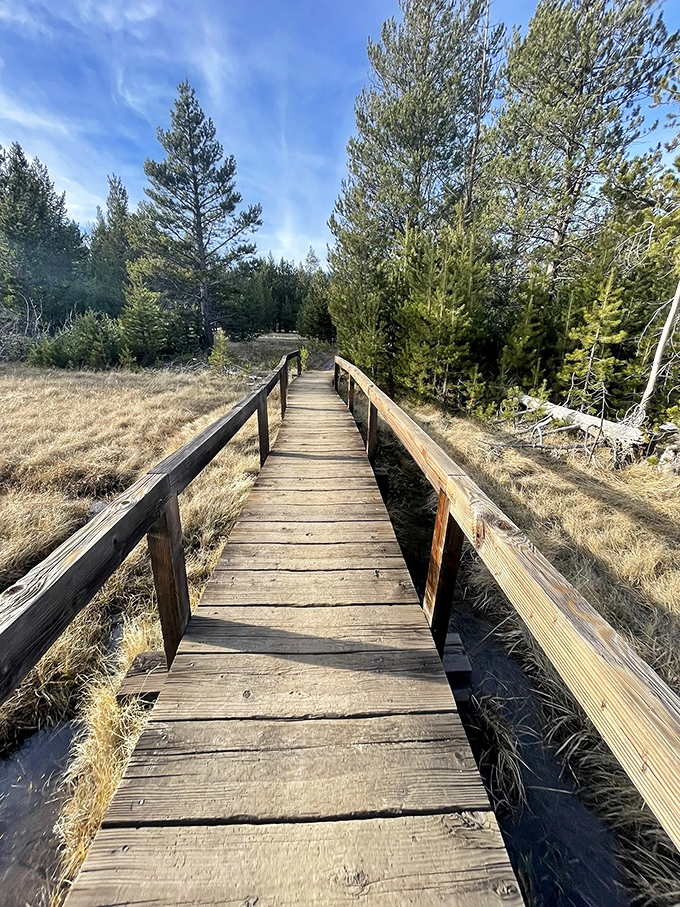 The boardwalk less traveled. Each weathered plank tells stories of countless footsteps seeking the same peace you're after right now.