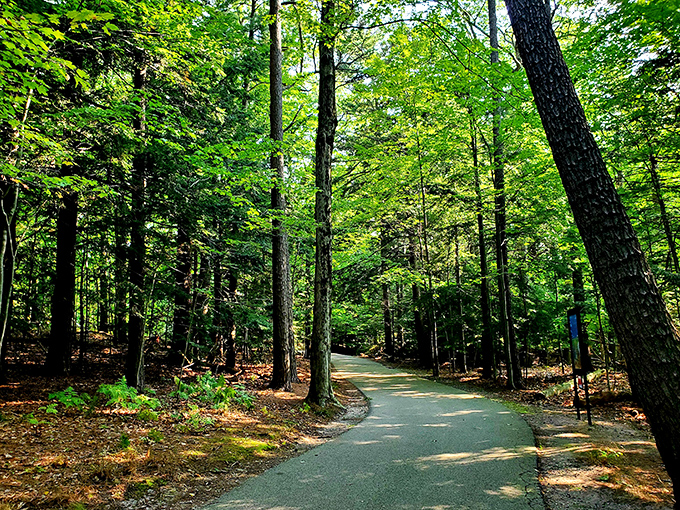 Cartier Park's winding trails offer a green cathedral where sunlight filters through leaves like stained glass. Nature's church is always open.