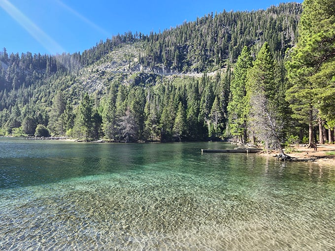 Crystal-clear shallows revealing every pebble below, making you wonder if Lake Tahoe has a personal water filtration system.