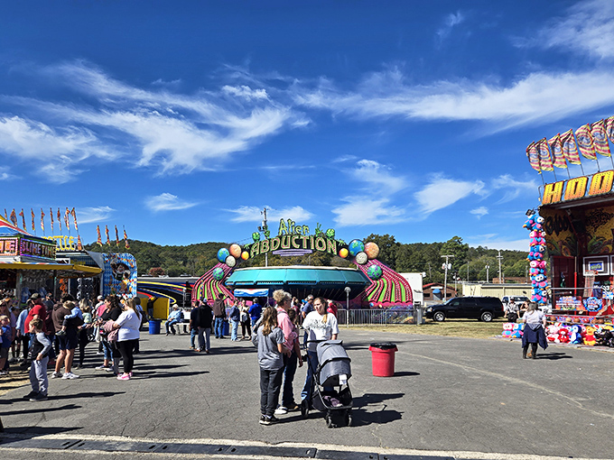 County fair excitement brings the community together, where carousel lights and cotton candy create memories that last long after summer fades.