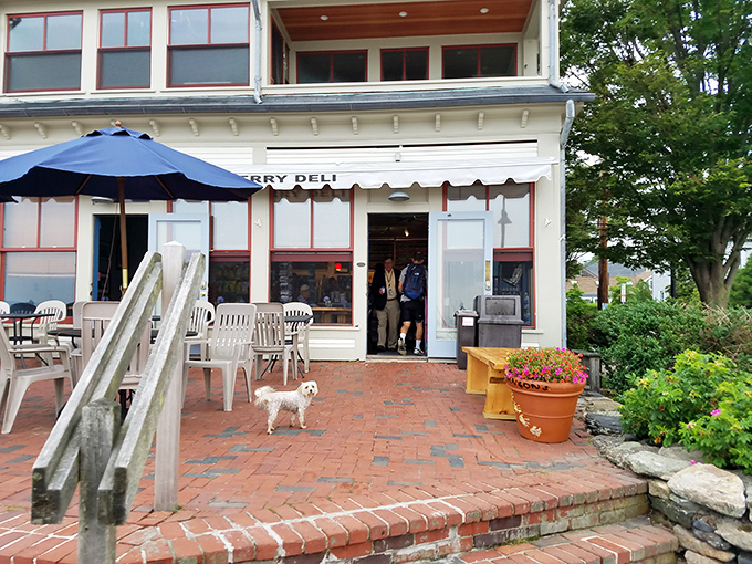 The East Ferry Deli welcomes both humans and four-legged friends to its brick patio, where simple pleasures like sandwiches taste better with a water view.