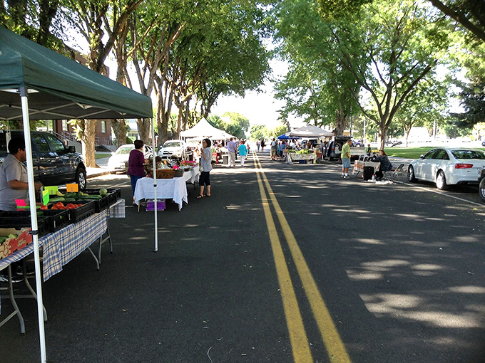 The farmers' market transforms an ordinary street into a community gathering place where the phrase "locally grown" isn't marketing&mdash;it's just a fact.