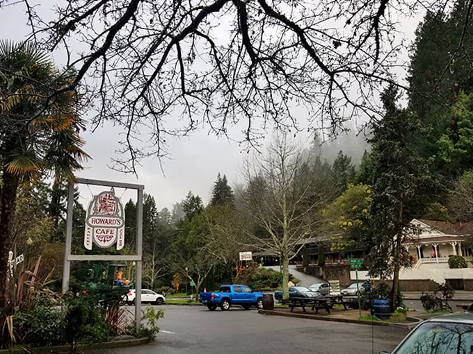 Even on foggy mornings, Occidental maintains its charm&mdash;the mist adding a mysterious veil to this woodland retreat.