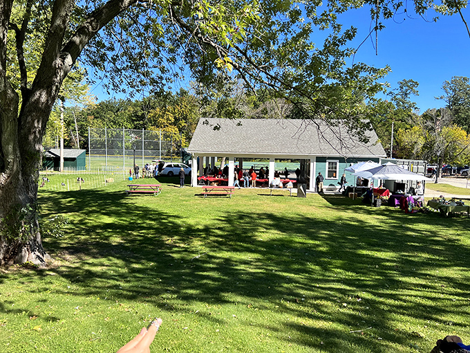Local farmers markets: where the only thing fresher than the produce is the gossip exchanged between neighbors.