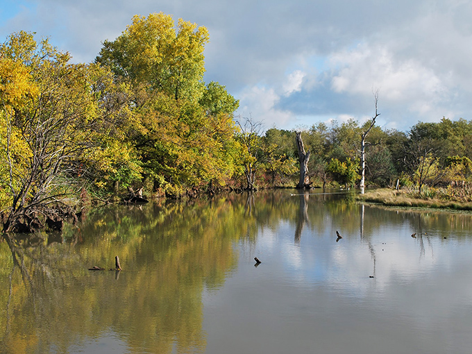 Autumn paints the Great Plains Nature Center in golden hues, creating mirror images on water so still it looks like nature's own Instagram filter.