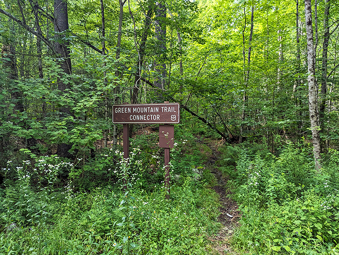 The trailhead to adventure awaits. This unassuming path leads to some of the most spectacular views the Green Mountains have to offer.
