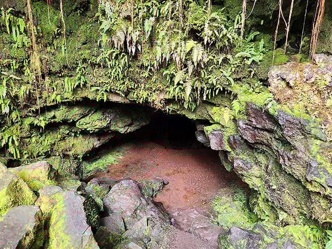 Kaumana Cave's moss-draped entrance looks like something from a fantasy film &ndash; a portal to the underworld or just really cool geology?