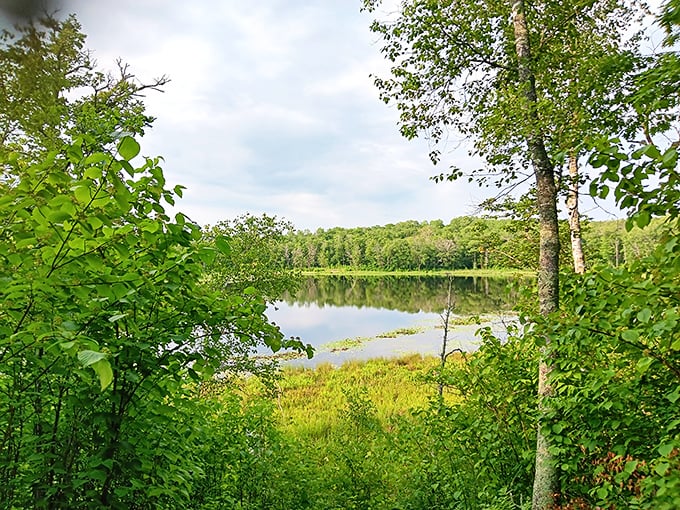Nature frames its own masterpiece at Lake Erin Loop Trail, where the still water mirrors the sky in a moment of perfect Minnesota tranquility.