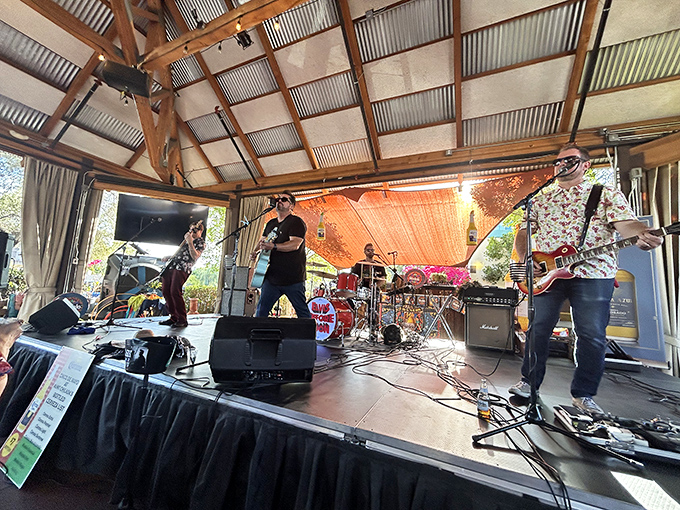 Live music transforms an ordinary meal into a memory, with performers bringing the soundtrack to your southwestern feast.