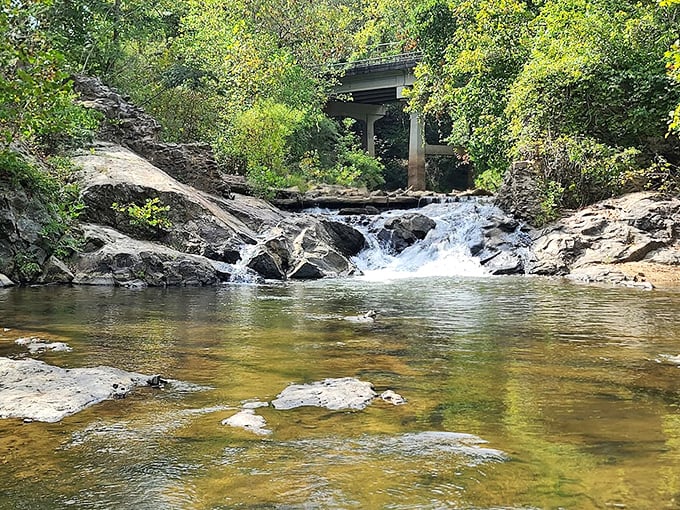Matrimony Creek tumbles over ancient rocks, creating nature's soundtrack. This peaceful spot feels miles from civilization, yet it's just minutes from downtown.