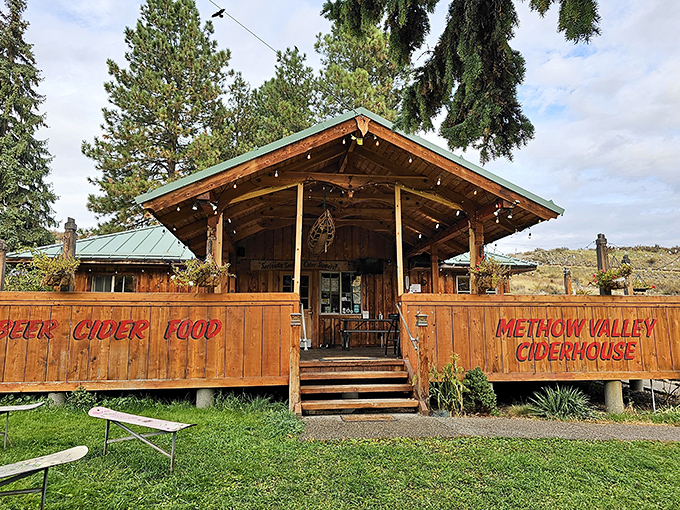 Local cider made from valley apples tastes like autumn decided to become a beverage and succeeded beyond everyone's wildest expectations.