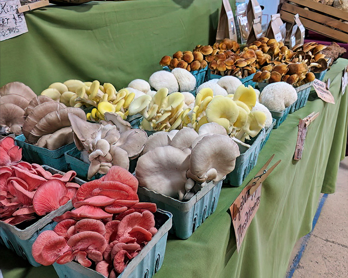 A mushroom rainbow that would make any chef weak at the knees&mdash;nature's umami bombs waiting to transform tonight's dinner.