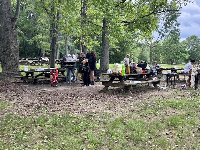 Family gatherings under ancient trees&mdash;where memories are made between bites of potato salad and impromptu games of catch.