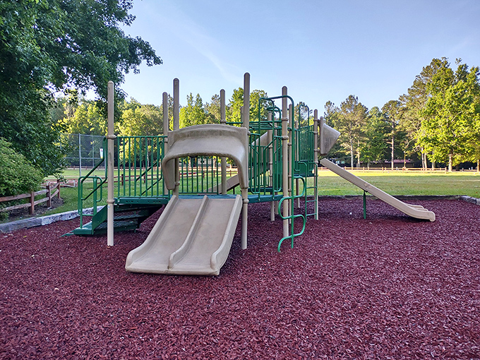Childhood joy doesn't need Wi-Fi! This playground promises old-fashioned fun surrounded by the park's natural splendor.
